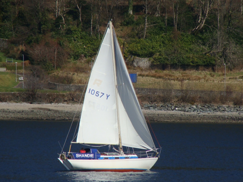 Bargain Boats – Classic Sailor